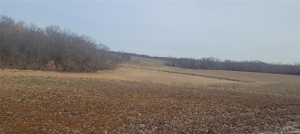 60 Orbit Rd, Anabel, MO 63431 | Zillow