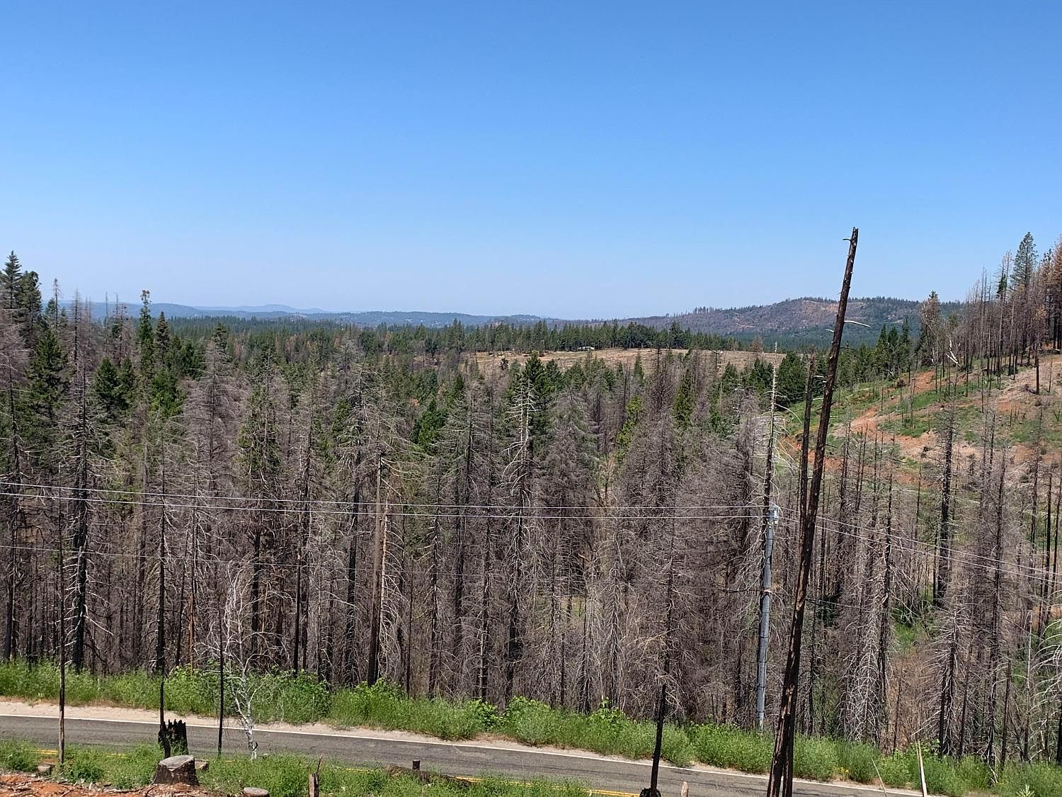 String Canyon Rd #AC, Grizzly Flats, CA 95636 | MLS #223007764 | Zillow