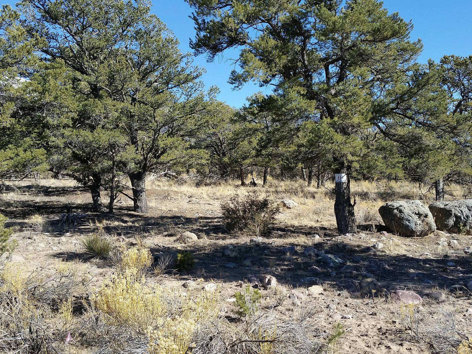 251 Baca Grant Way, Crestone, CO 81131 | Zillow