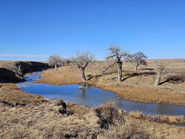 Springfield CO Real Estate - Springfield CO Homes For Sale | Zillow