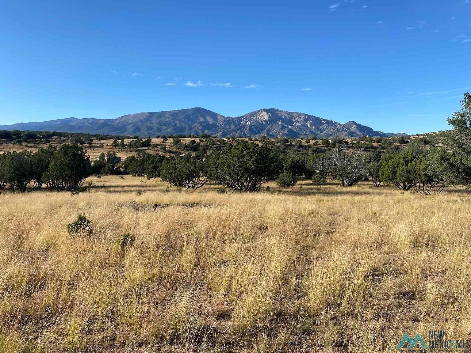 1060 Arabela Rd, Tinnie, NM 88351 | MLS #20235110 | Zillow