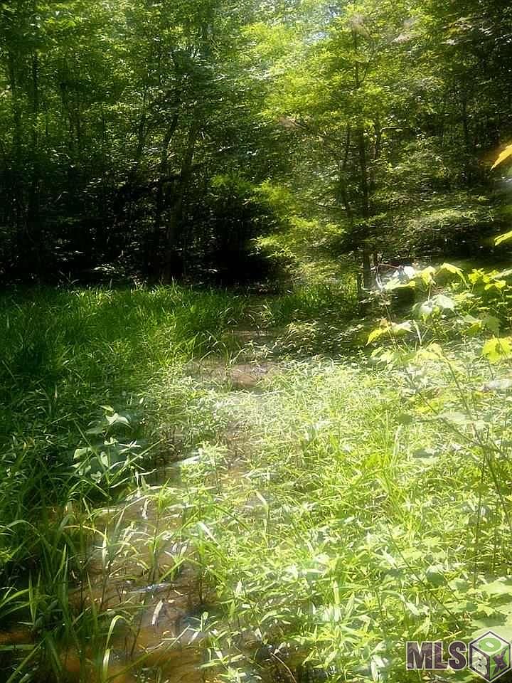LOT Perry Babin Ln, Saint Amant, LA 70774 | Zillow