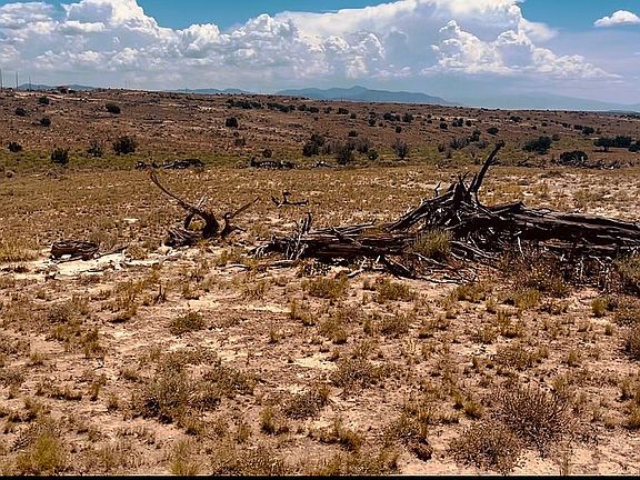 235 Windmill Ranches, Carrizozo, NM 88301 | Zillow