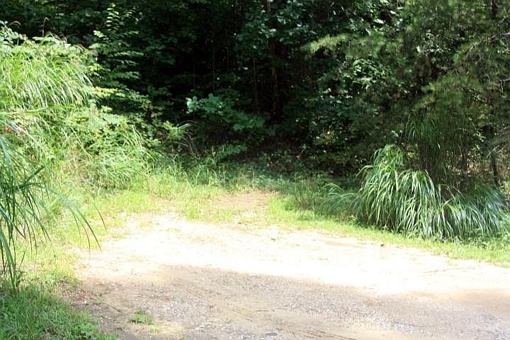 171 Debbie Dr, Slade, KY 40376 | Zillow