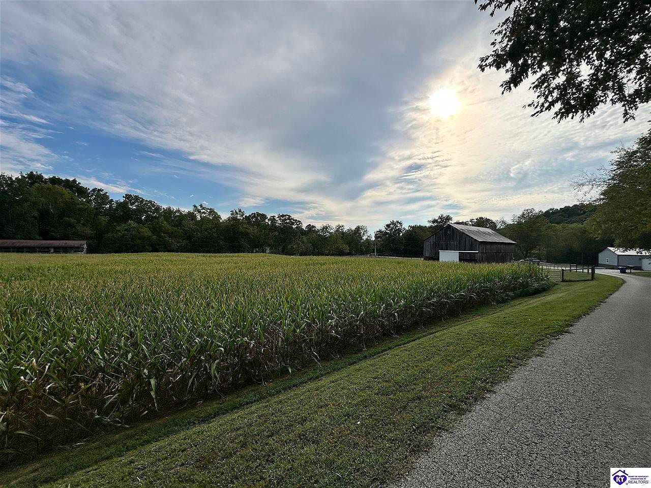 1245 E Poe Young Rd, Campbellsville, KY 42718 | MLS #HK24003372 | Zillow