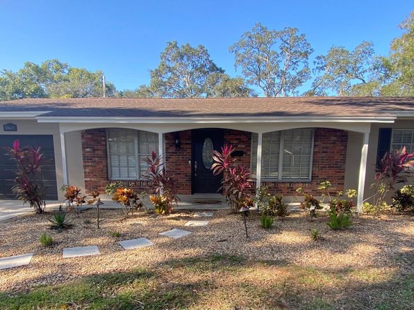 Houses For Rent in Greater Carrollwood FL - 18 Homes | Zillow