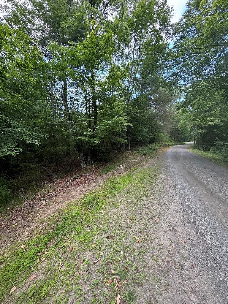 Drypond Rd, Hiwassee, VA 24347 | MLS #94120 | Zillow