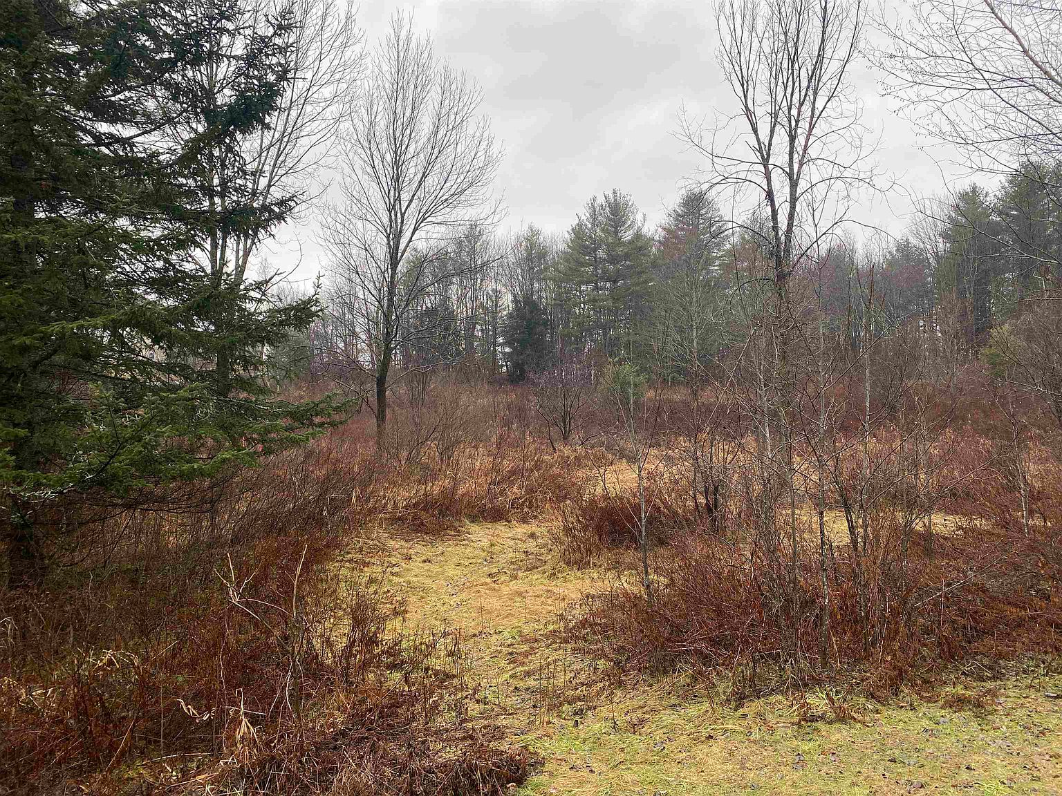 C2 Collins Hill, Johnson, VT 05656 | MLS #4981504 | Zillow