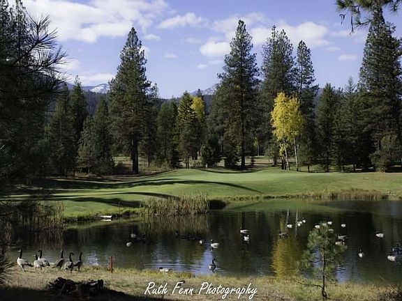 335 Cabinet View Country Club Rd, Libby, MT 59923 | MLS #22214772 | Zillow