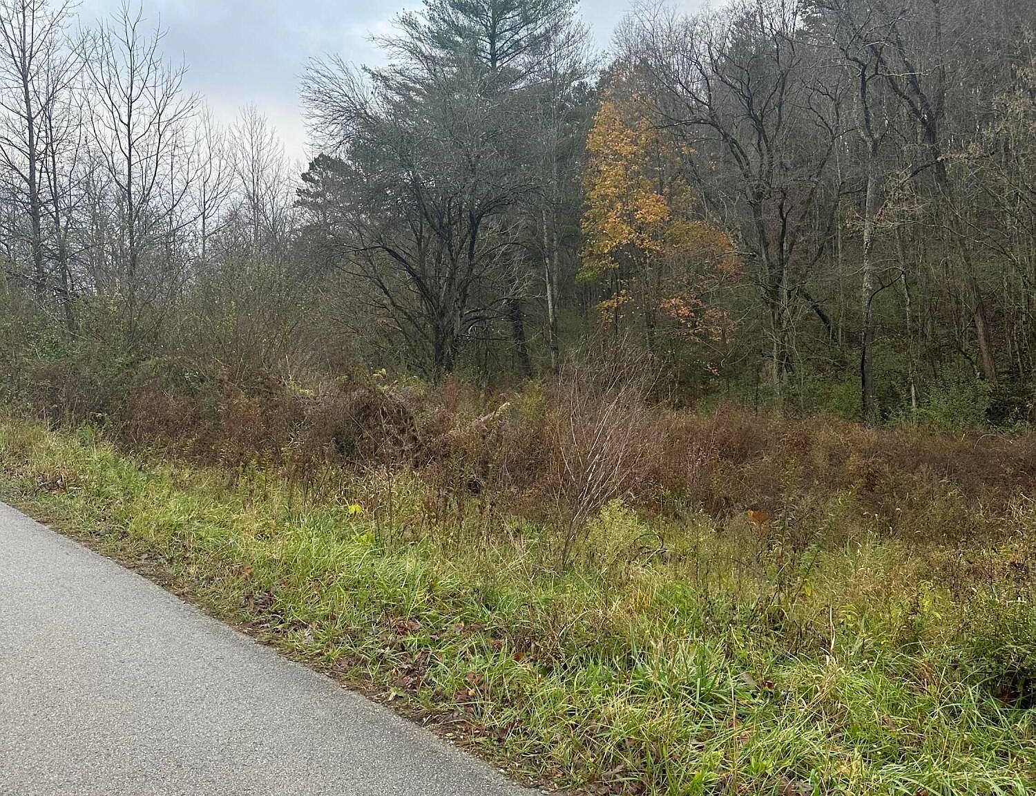 9999 Pilgrims Rest Rd, Mc Kee, KY 40447 | MLS #24024162 | Zillow