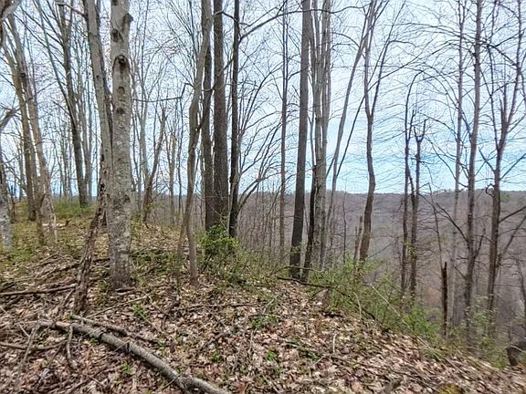 0 George Pl, Tomahawk, KY 41262 | Zillow