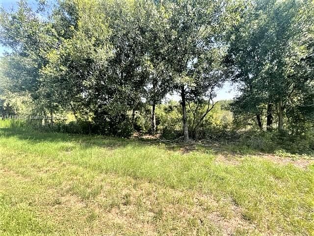 2900 W Yepremian Rd, Avon Park, FL 33825 | Zillow