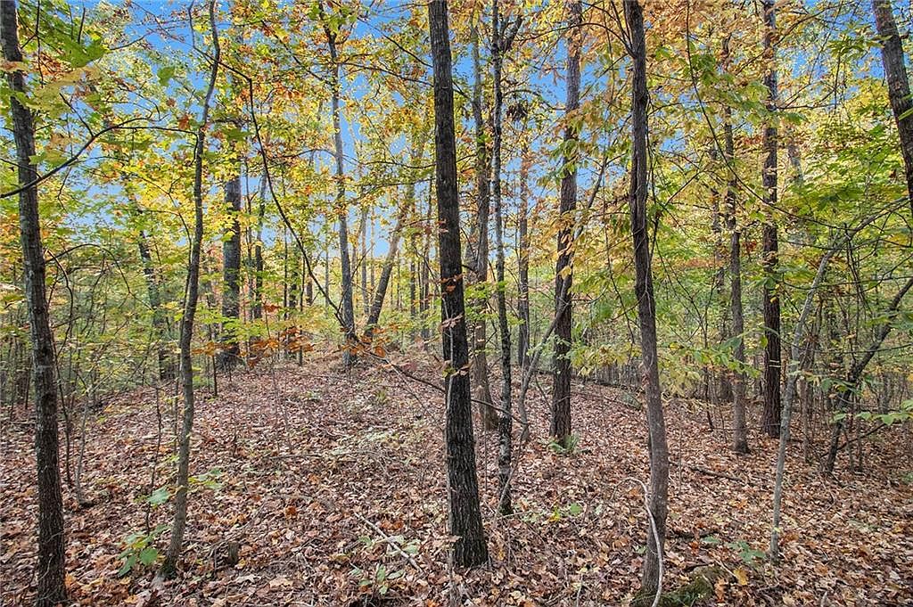 1 Elsberry Mountain Rd #1, Dallas, GA 30132 | MLS #7431888 | Zillow