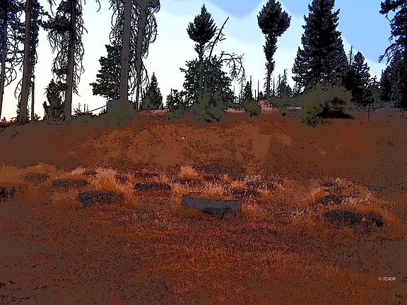 430 Trinity Pines Dr, Hayfork, CA 96041 | MLS #2112355 | Zillow