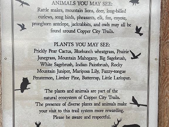 Ms Copper Queen Copper City Rd, Three Forks, MT 59752 | Zillow