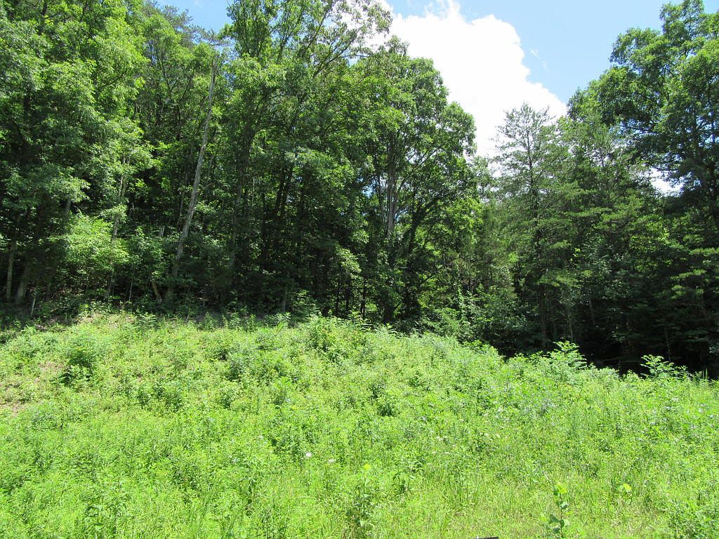 Pumpkin Hollow Rd, Heiskell, TN 37754 | Zillow