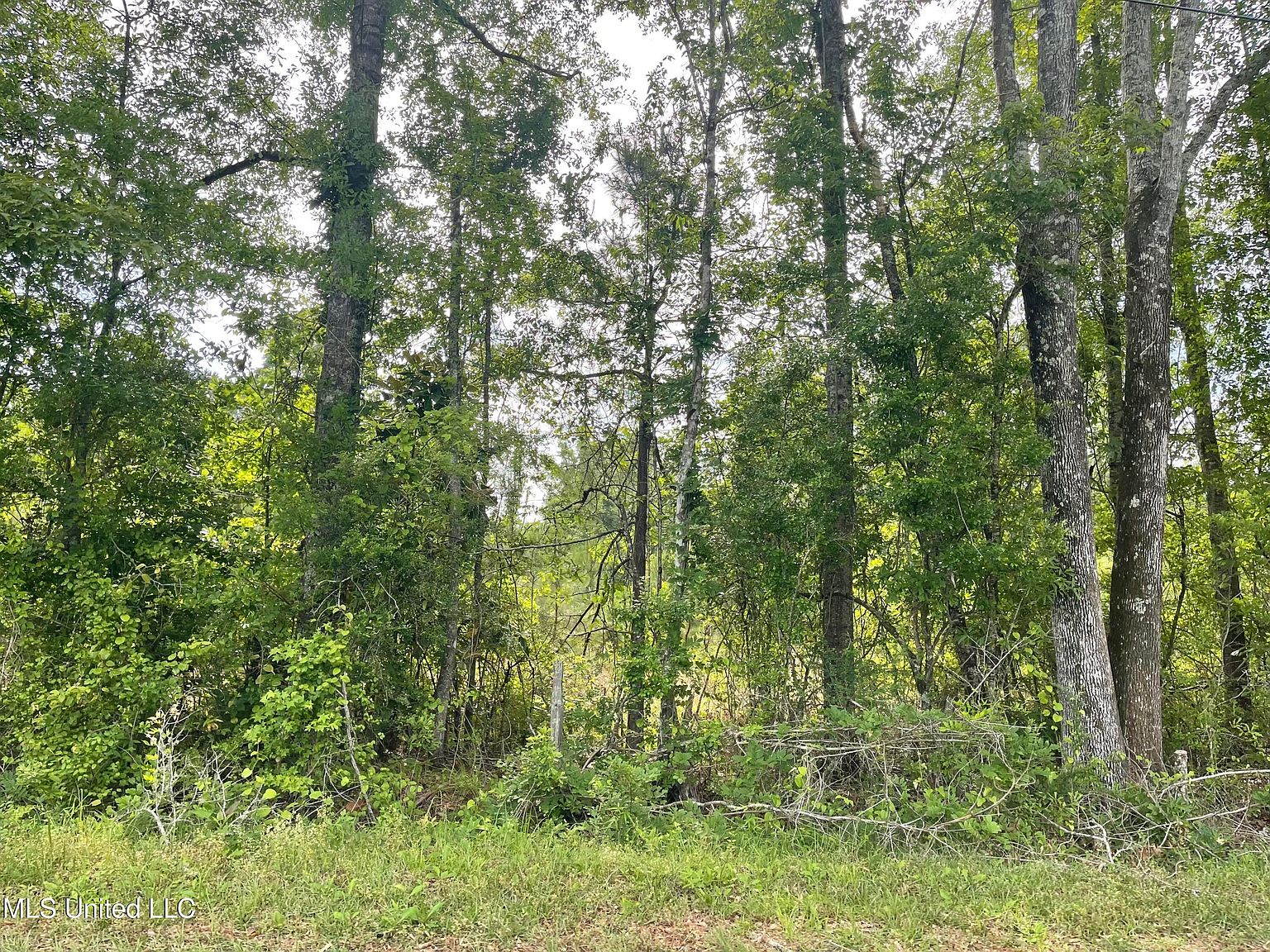 316 Thompson Hill Rd, Mc Lain, MS 39456 | MLS #4112734 | Zillow