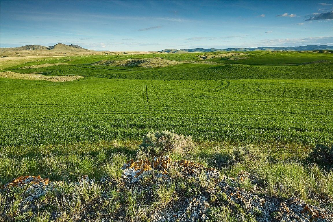 Shoddy Springs Rd #569, Three Forks, MT 59752 | MLS #376587 | Zillow