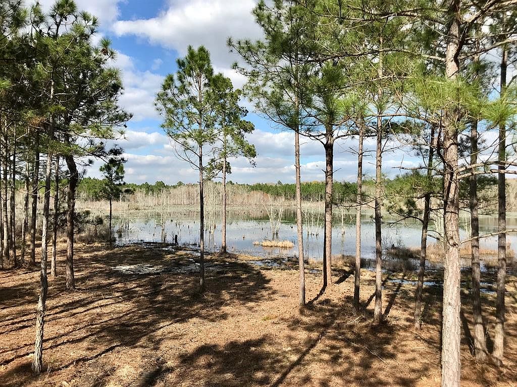 1084 Rocky Ford Rd, Coolidge, GA 31738 | Zillow