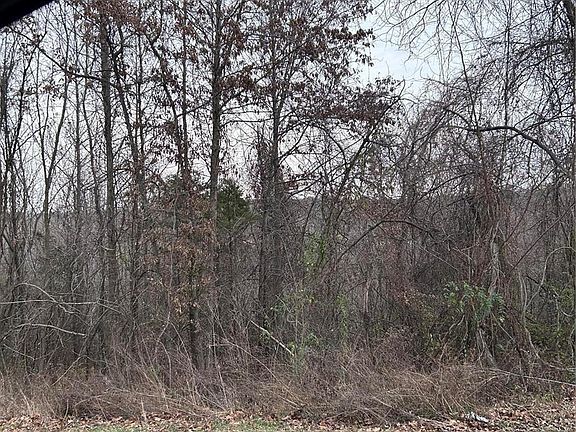 470 W Keysville St, Steelville, MO 65565 | MLS #24076557 | Zillow