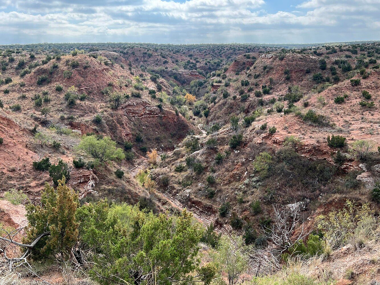 0 County Road 1105, Rotan, TX 79546 | Zillow