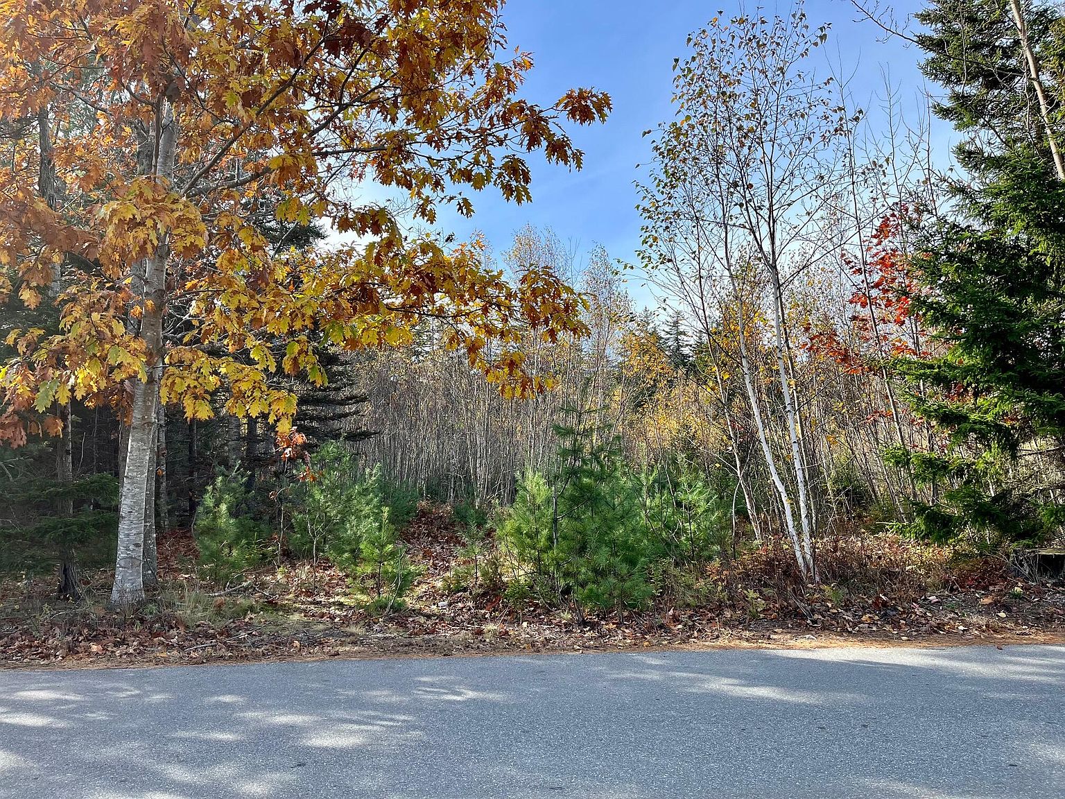 Lot 001 Hadley Point Road, Bar Harbor, ME 04609 | Zillow