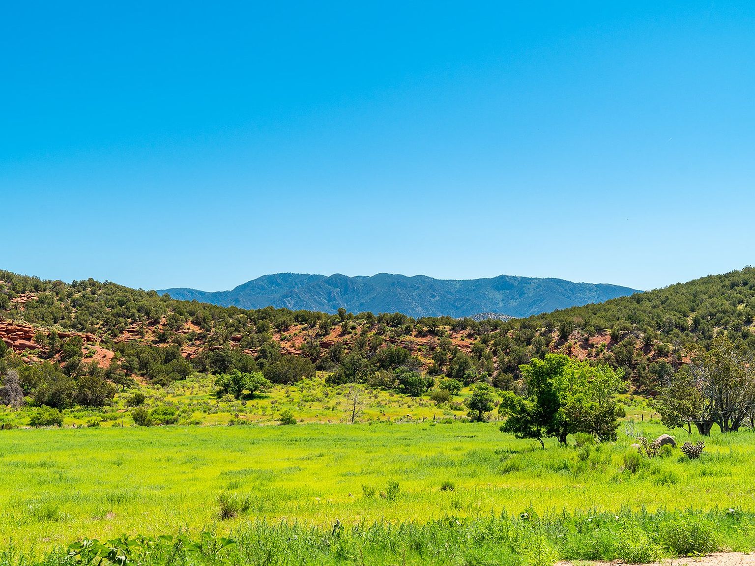 Rice, Denver, CO 80215 | Zillow