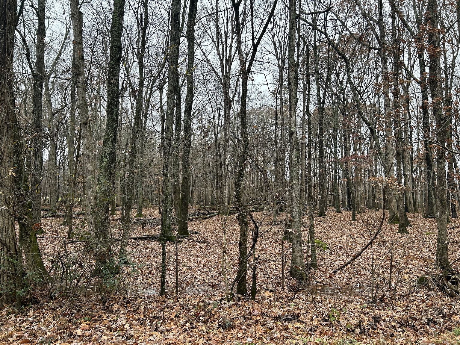4002 Baggett Rd LOT 7, Springfield, TN 37172 | MLS #2769705 | Zillow