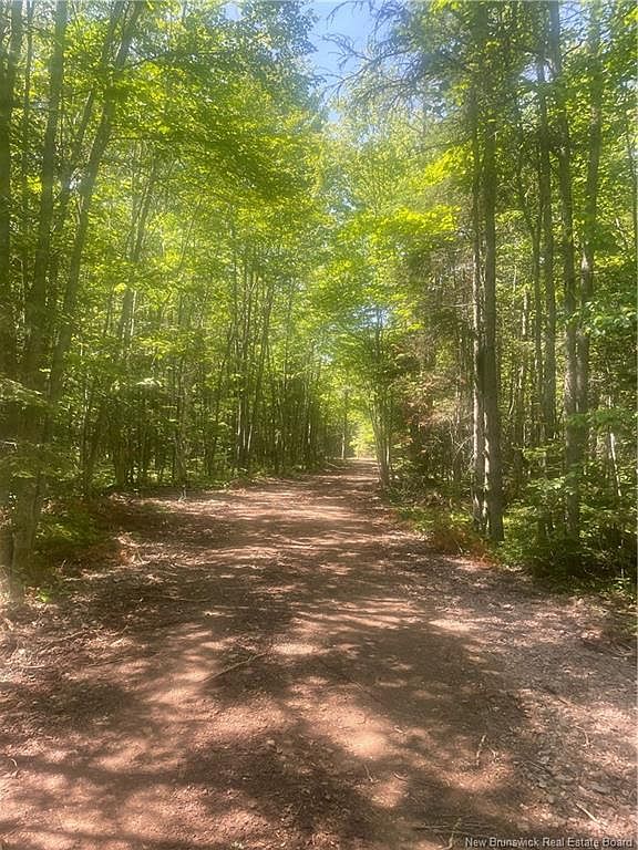 Cox Point Rd, Waterborough, NB E4A 2W9 | MLS #NB112322 | Zillow
