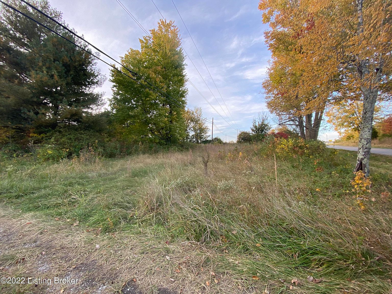 10095 Highway 401, Custer, KY 40115 | Zillow