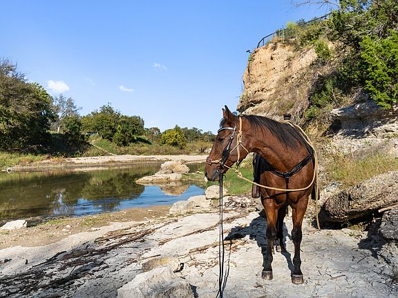 17051 State Highway 195, Killeen, TX 76542 | Zillow