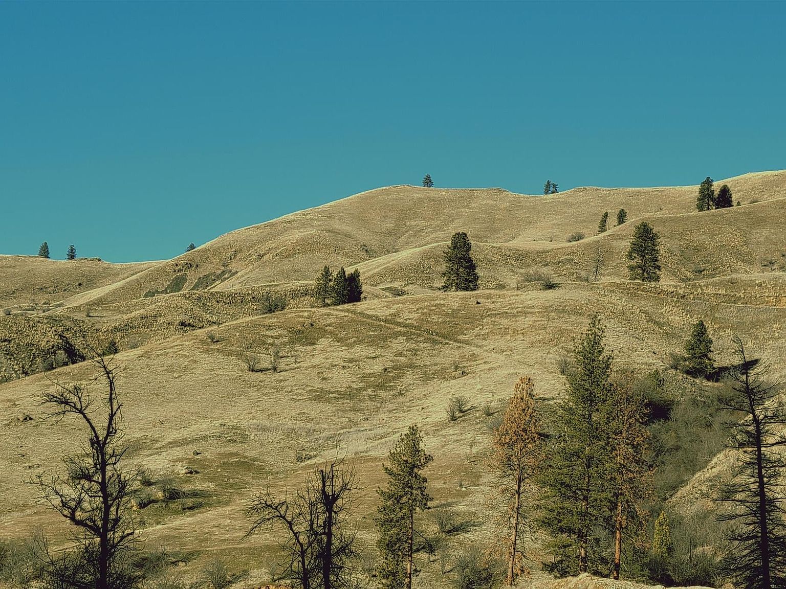 John Day Rd, Lucile, ID 83542 | MLS #98937343 | Zillow