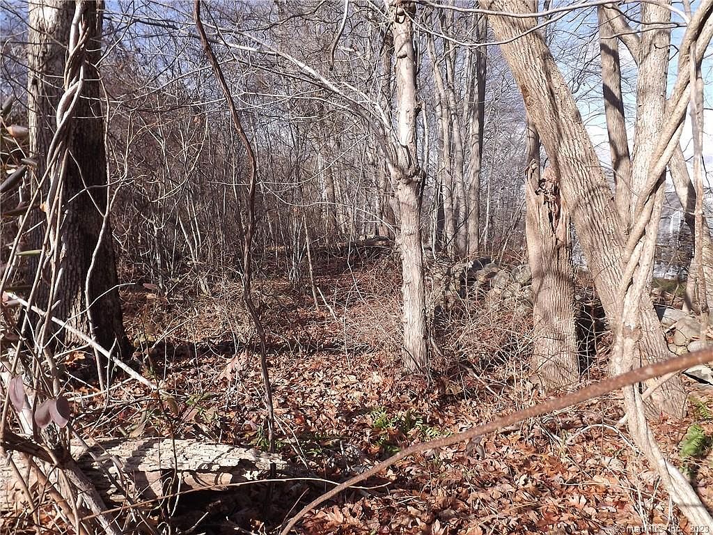 2 Vacant Land Map 2 Lot 59-41, Ivoryton, CT 06442 | Zillow