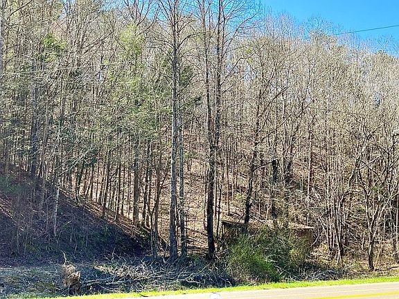 LOT 2720 Highway 25 70 E #E, Del Rio, TN 37727 | MLS #702820 | Zillow