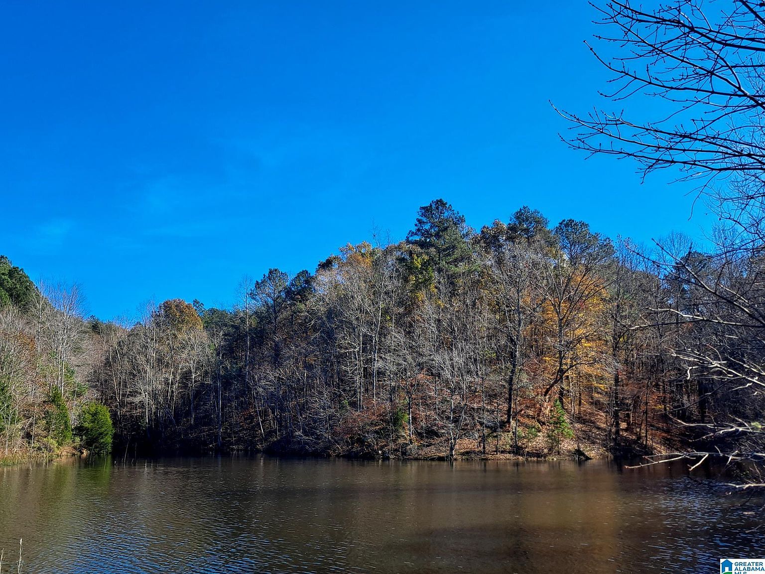 13 State Rd, Lynn, AL 35575 | MLS #1339822 | Zillow