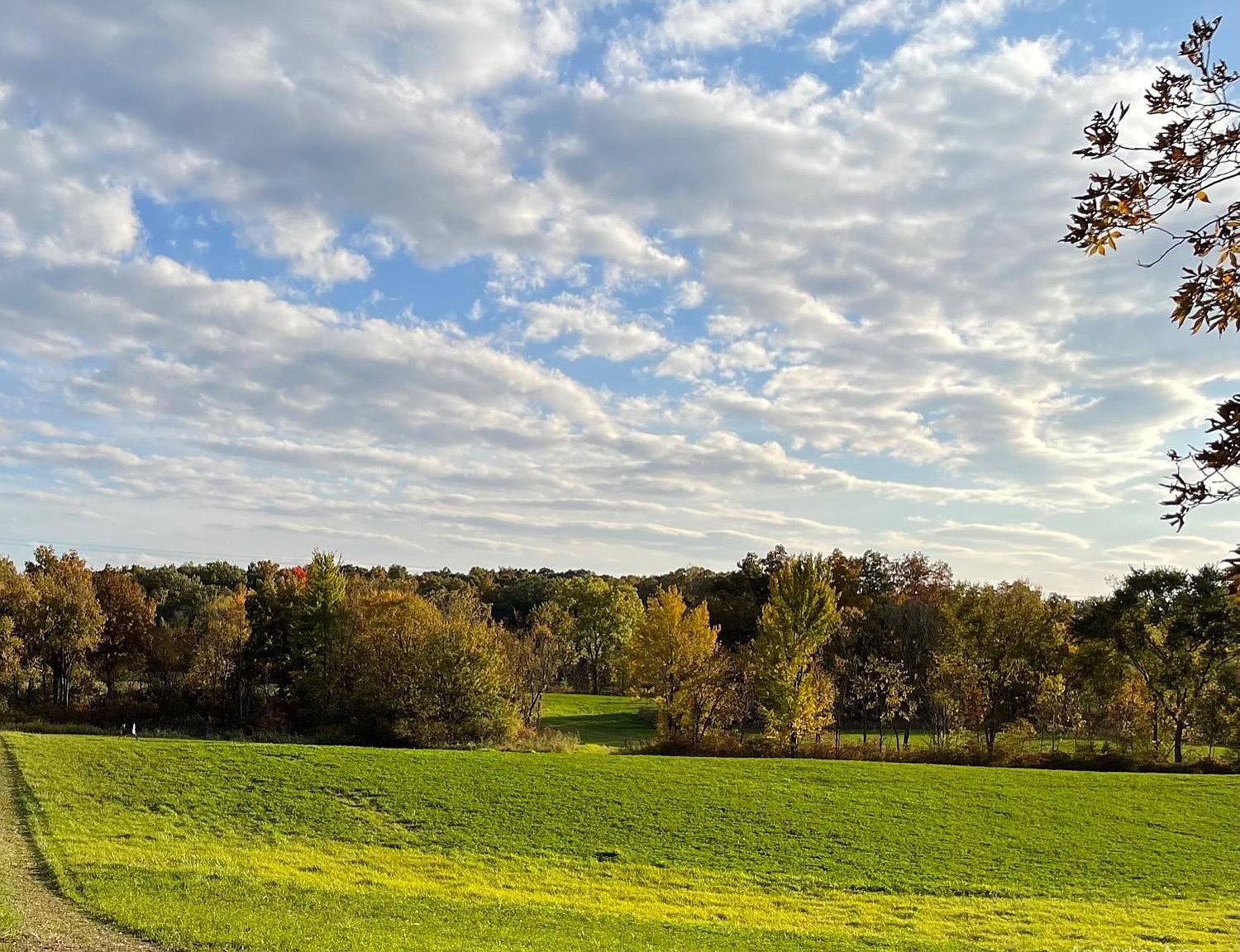 0 Burtless Rd, Manchester, MI 48158 | Zillow