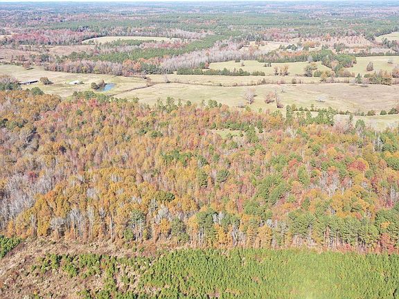 County Road 4335, Bivins, TX 75555 | MLS #20237119 | Zillow