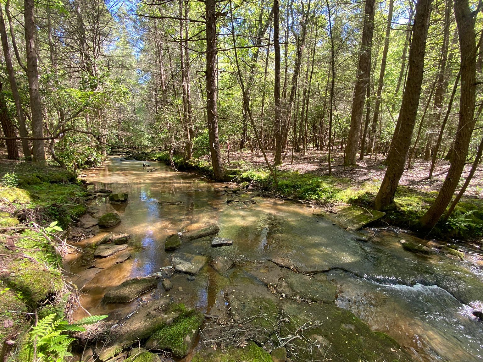 33 Eagle Ridge Rd, Graysville, TN 37338 | Zillow