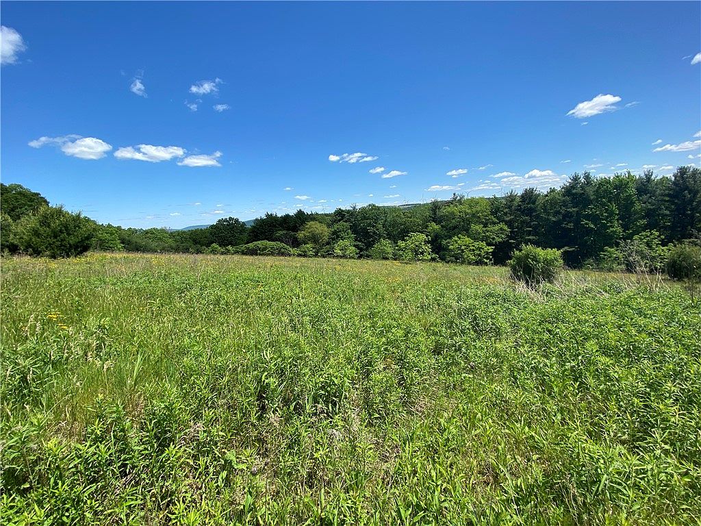 0 Saunders Hill Rd #38, Naples, NY 14512 | Zillow