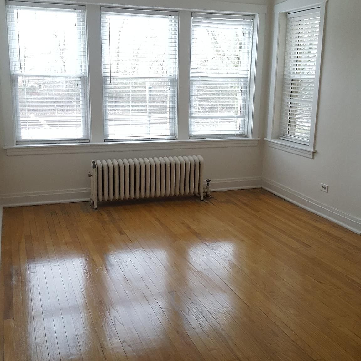 6783 N Olmsted Ave #1, Chicago, IL 60631 | Zillow