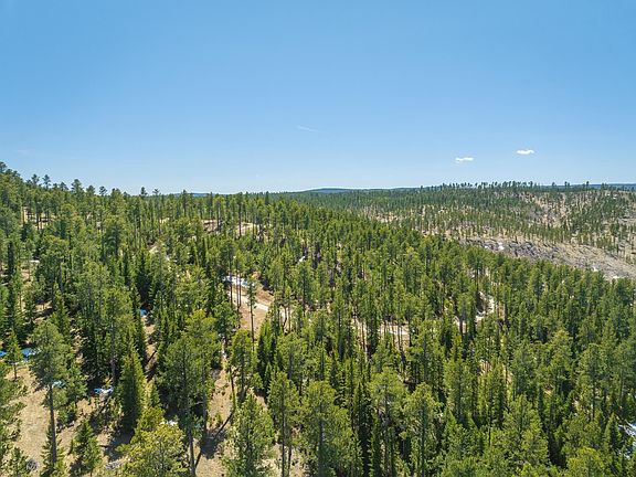 Diamond Dale Pl, Nemo, SD 57759 | Zillow