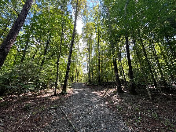 0 Little Mike Loop, Travelers Rest, SC 29690 | MLS #11345725 | Zillow