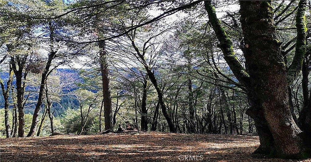 15052 Red Hill Spring Rd #140, Nevada City, CA 95959 | MLS #PI24009967 ...