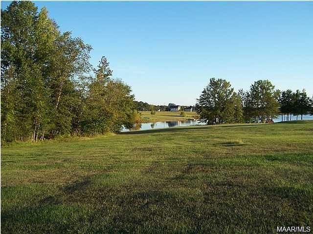 34 Chesson Hill Dr, Fitzpatrick, AL 36029 | Zillow