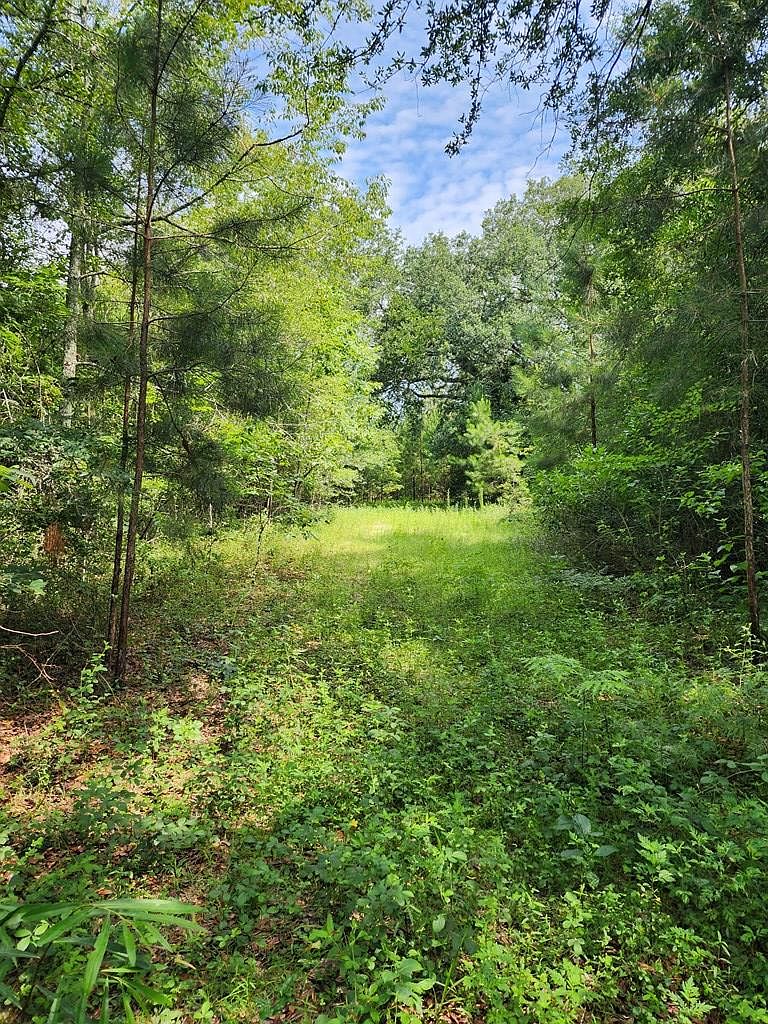 1931 Elmodel Hwy, Newton, GA 39870 | Zillow