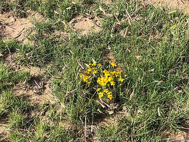 Lot 86 Hellifino Road Lot 86, Walsenburg, CO 81089 | Zillow