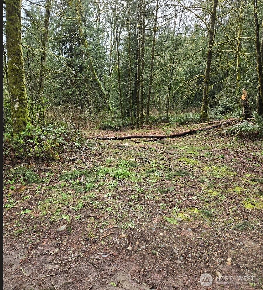 13160 Shady Glen Avenue SE, Olalla, WA 98359 | MLS #2351896 | Zillow