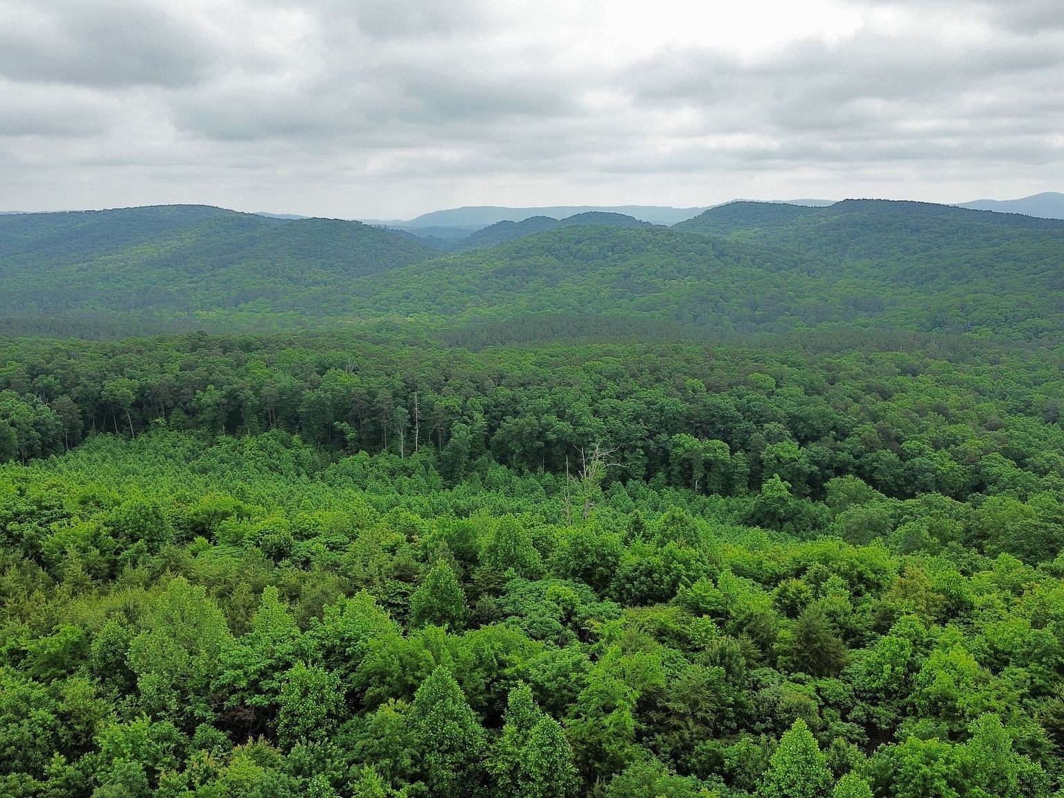 0 State Highway 151, Ringgold, GA 30736 | Zillow