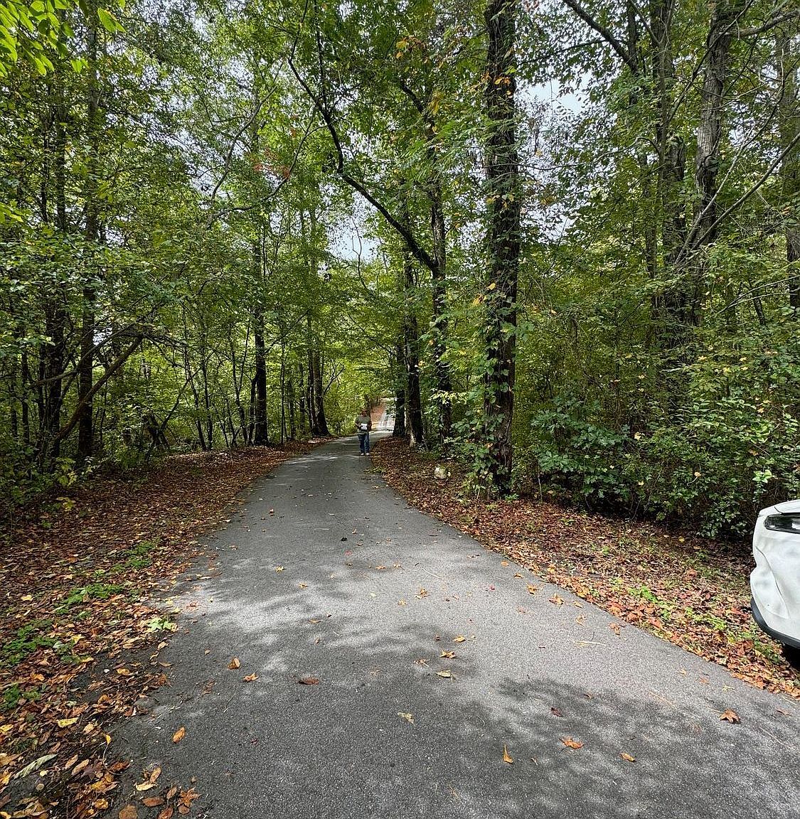 1690 Old Cartersville Rd, Dallas, GA 30132 | MLS #10468230 | Zillow