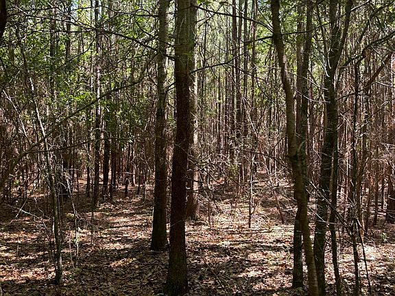 0 Pisgah Rd TRACT 5, Rembert, SC 29128 | Zillow